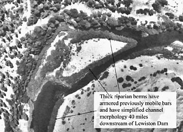 North Coast Journal - August 15, 2002: COVER STORY