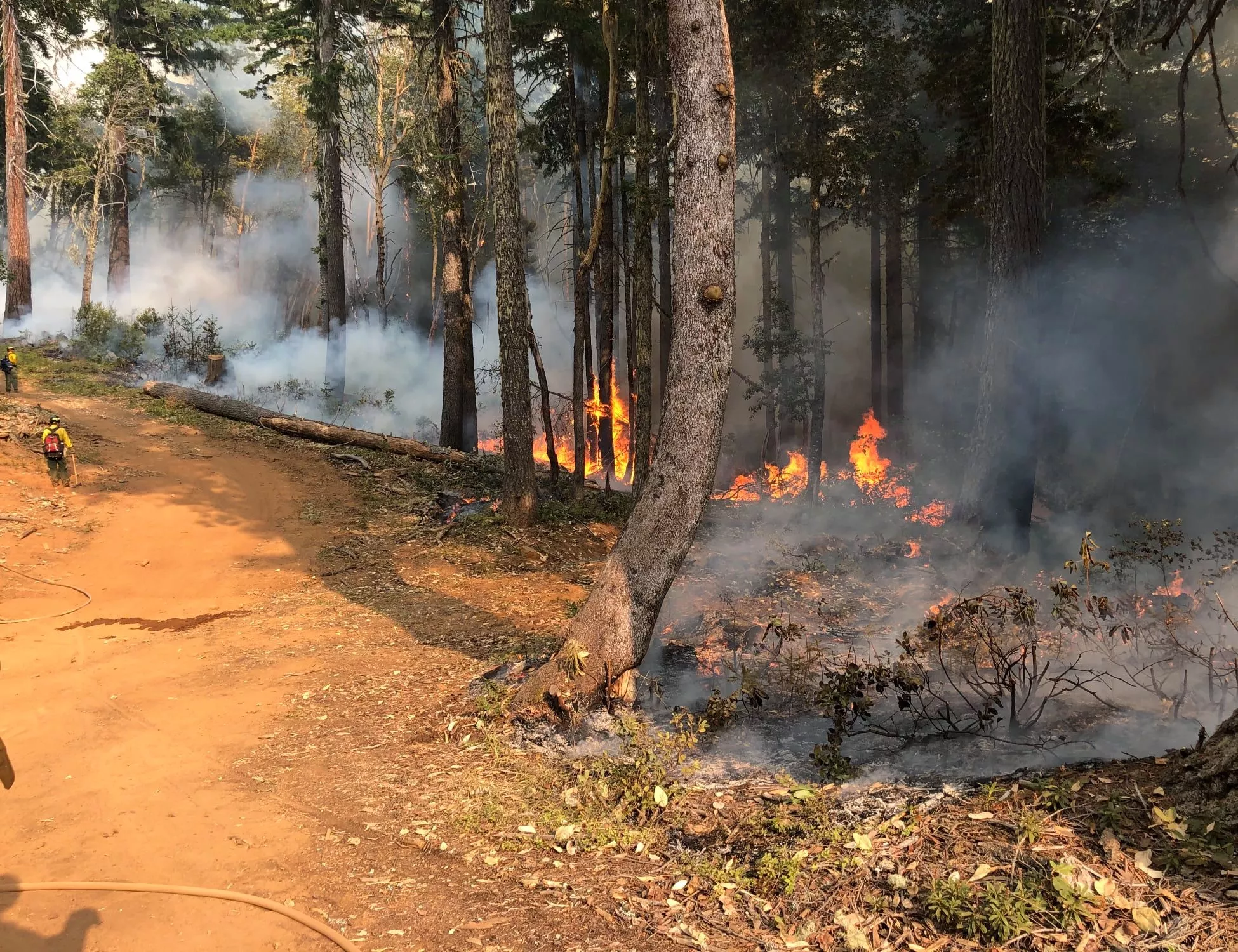 Red Salmon Complex Fire Update