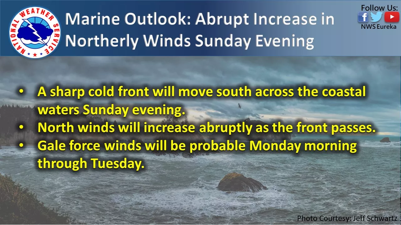 It's Going to Get Gusty: Gale Force Winds Expected
