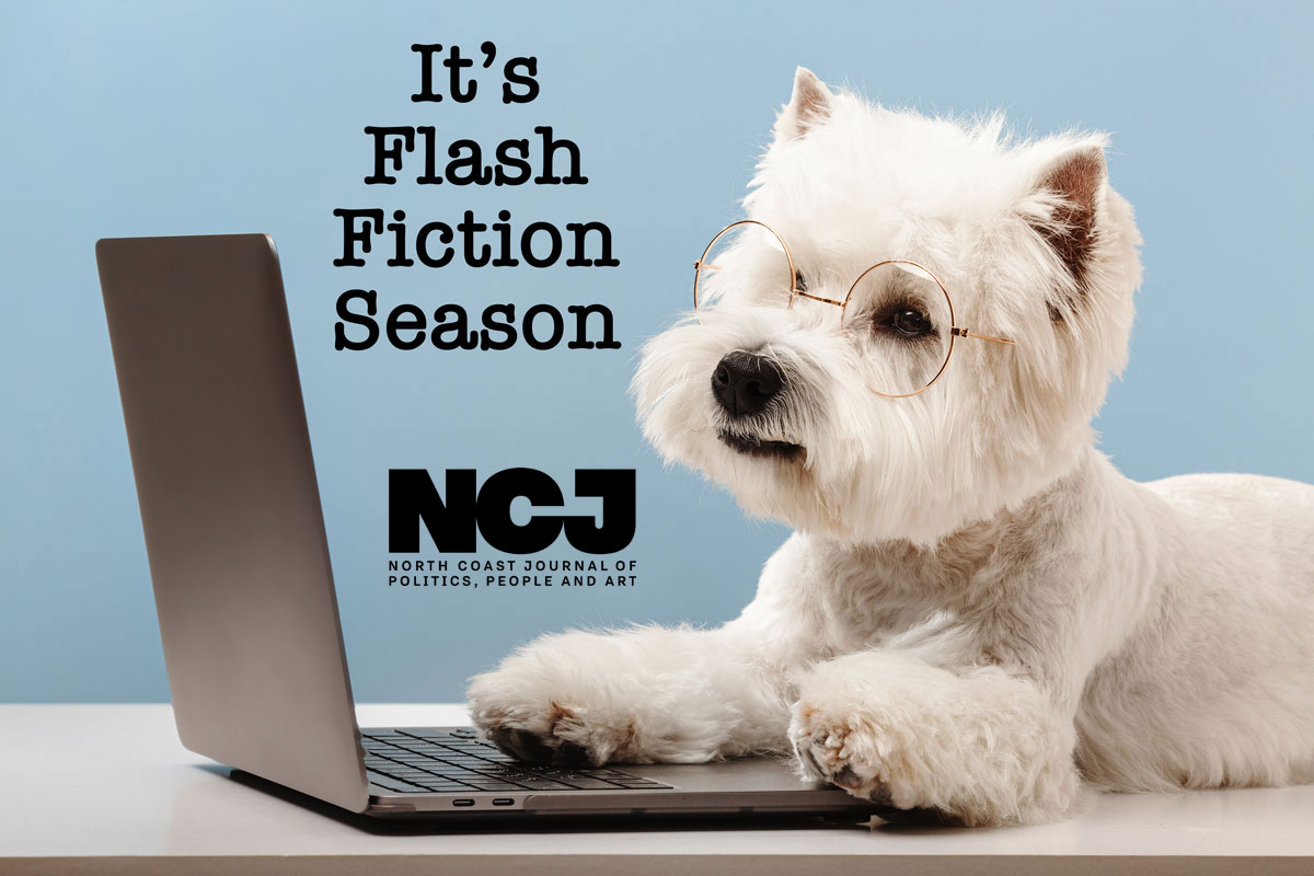 It’s Flash Fiction Season - North Coast Journal