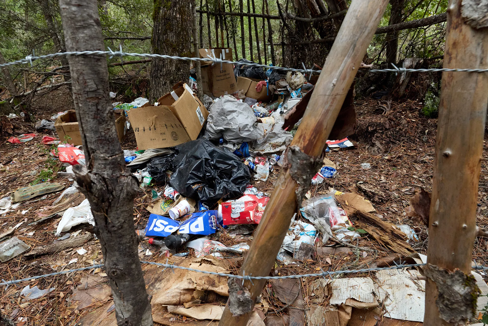 ‘Little Death Bombs’: Illegal Cannabis Farms Poison California’s ...